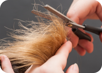 Regular Trims are Key – REGROWZ SKIN & HAIR CARE PRIVATE LIMITED